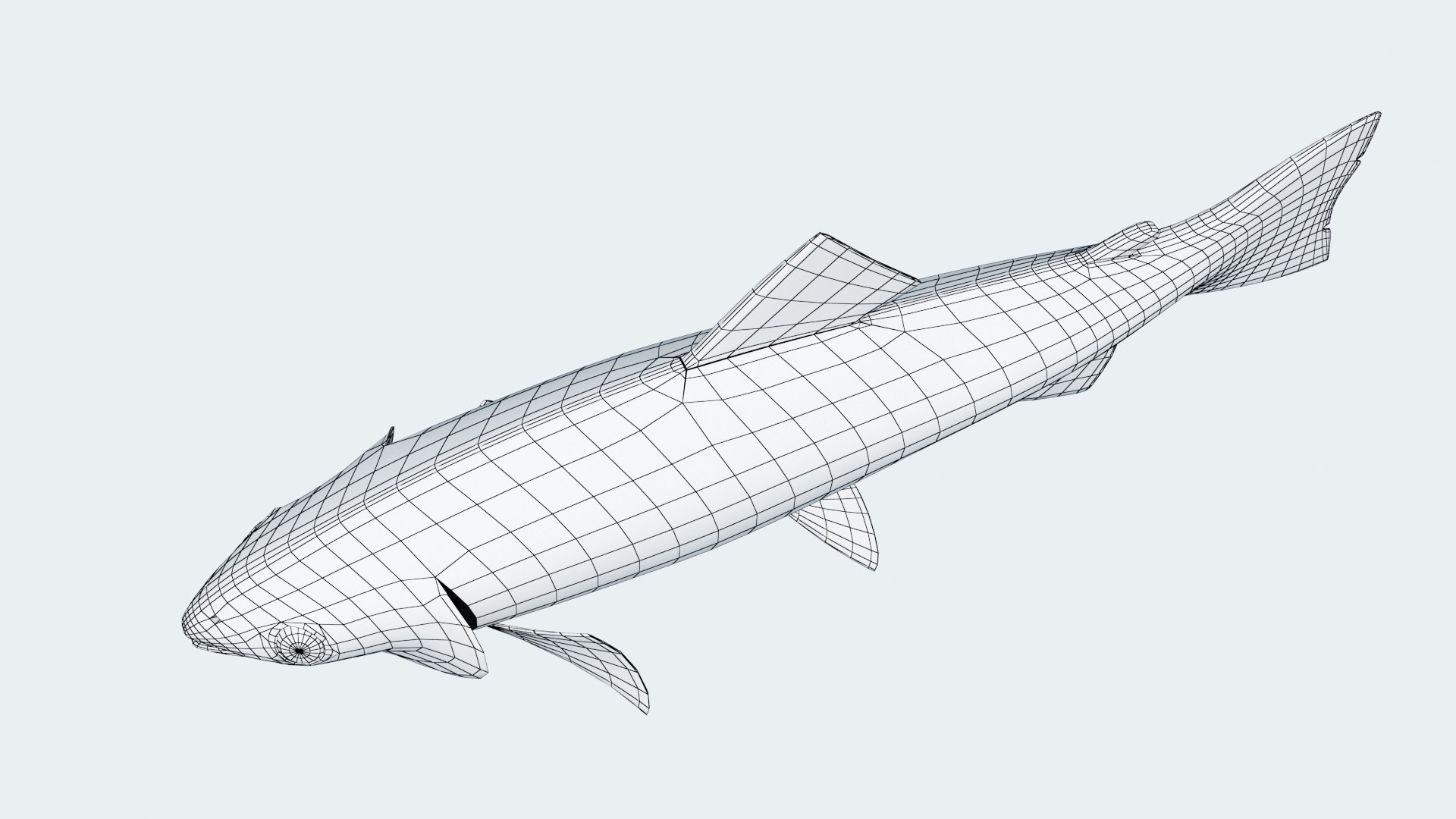 FISH Trout 3D Model - TurboSquid 1827551