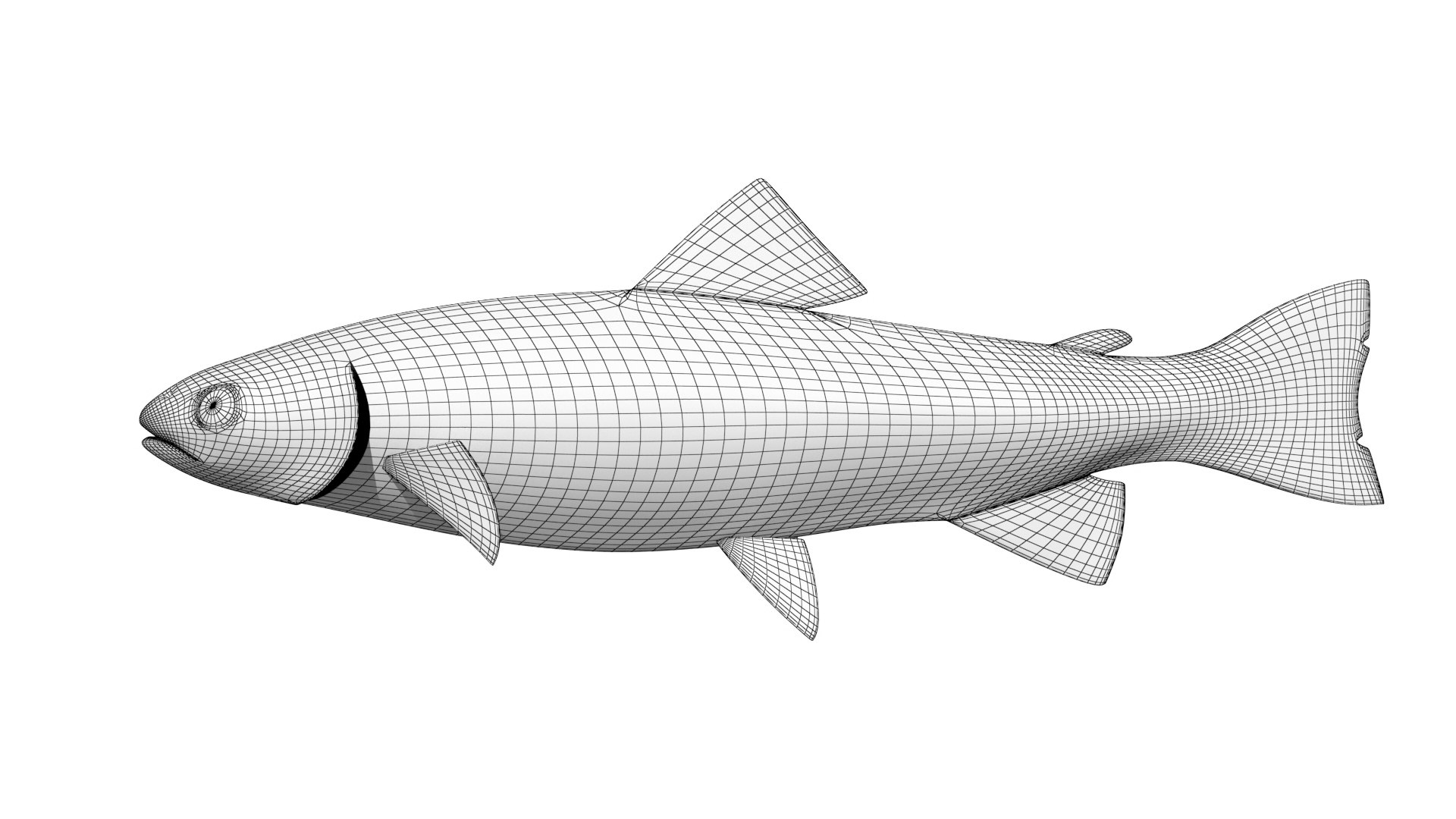FISH Trout 3D Model - TurboSquid 1827551