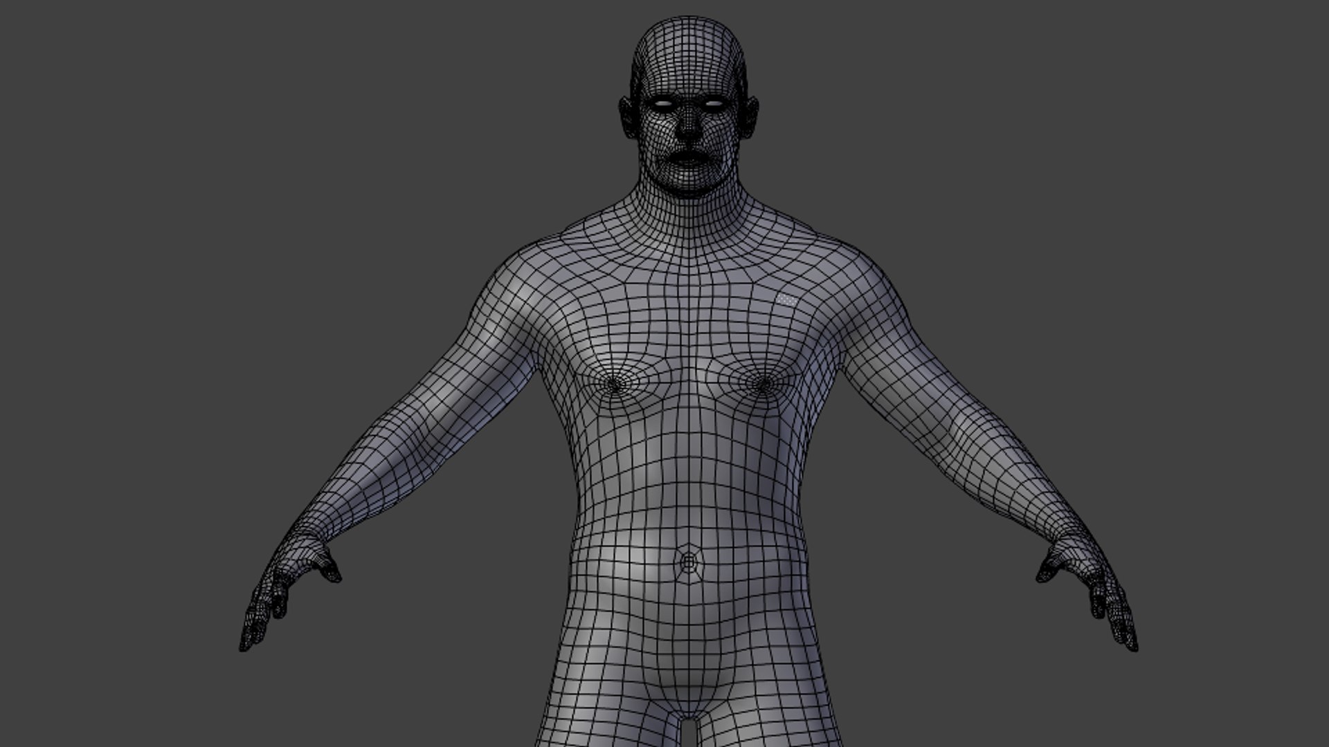 3d Human Female Model