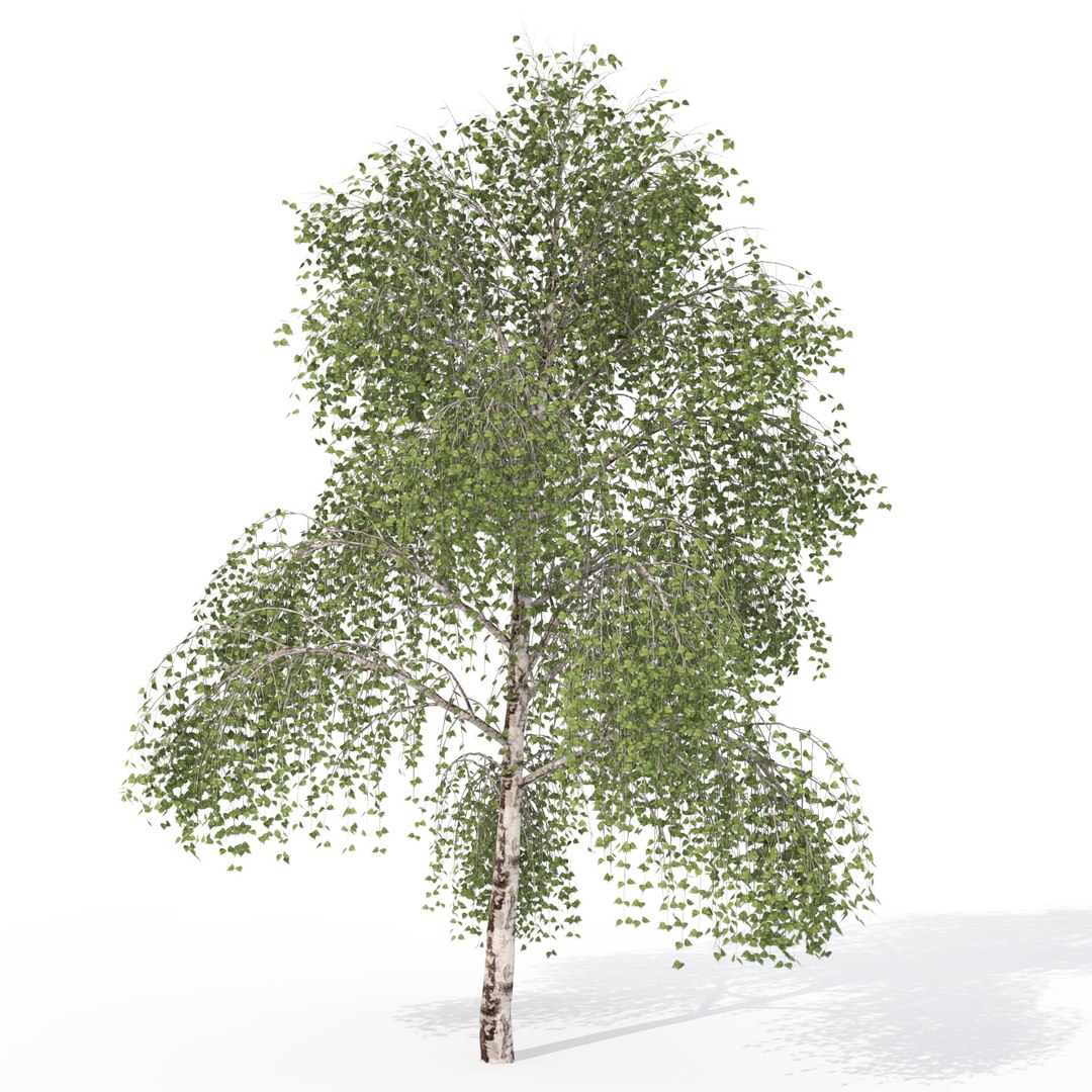 3d European Trees 2 Europe Model