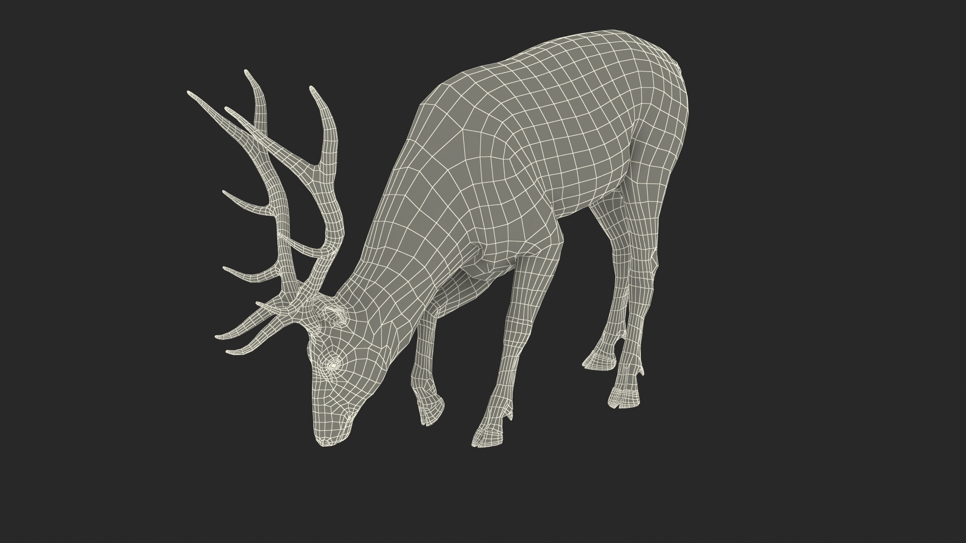 Realistic Elk With Antlers Fur 3D Model - TurboSquid 2263573