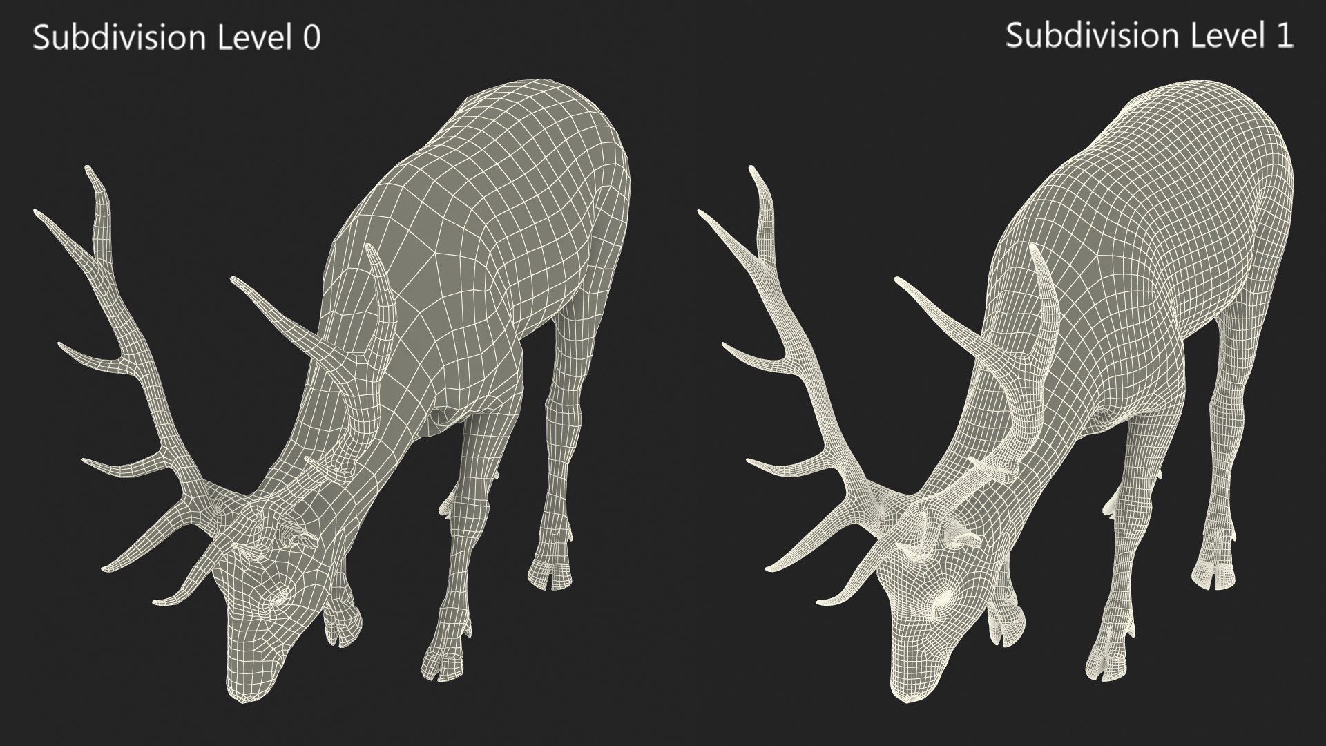 Realistic Elk With Antlers Fur 3D Model - TurboSquid 2263573