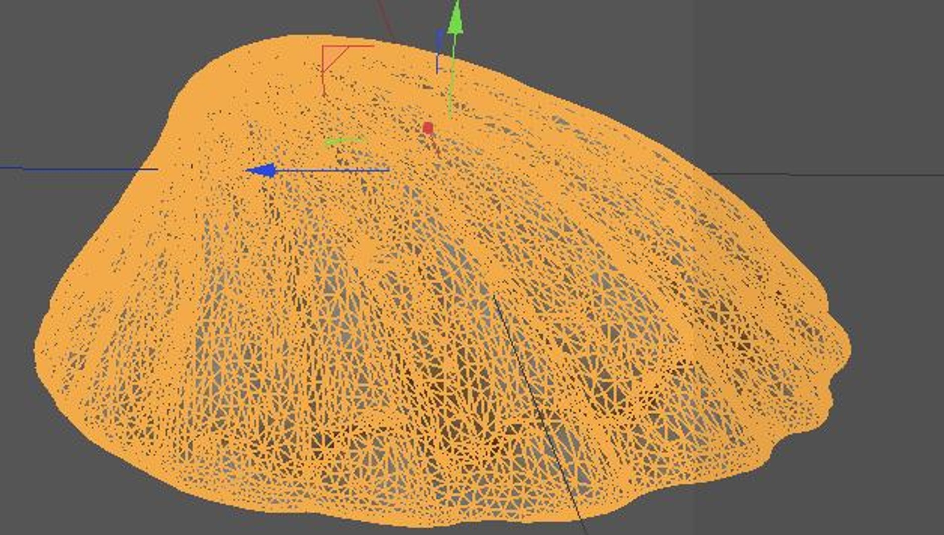 3d Model Realistic Shell