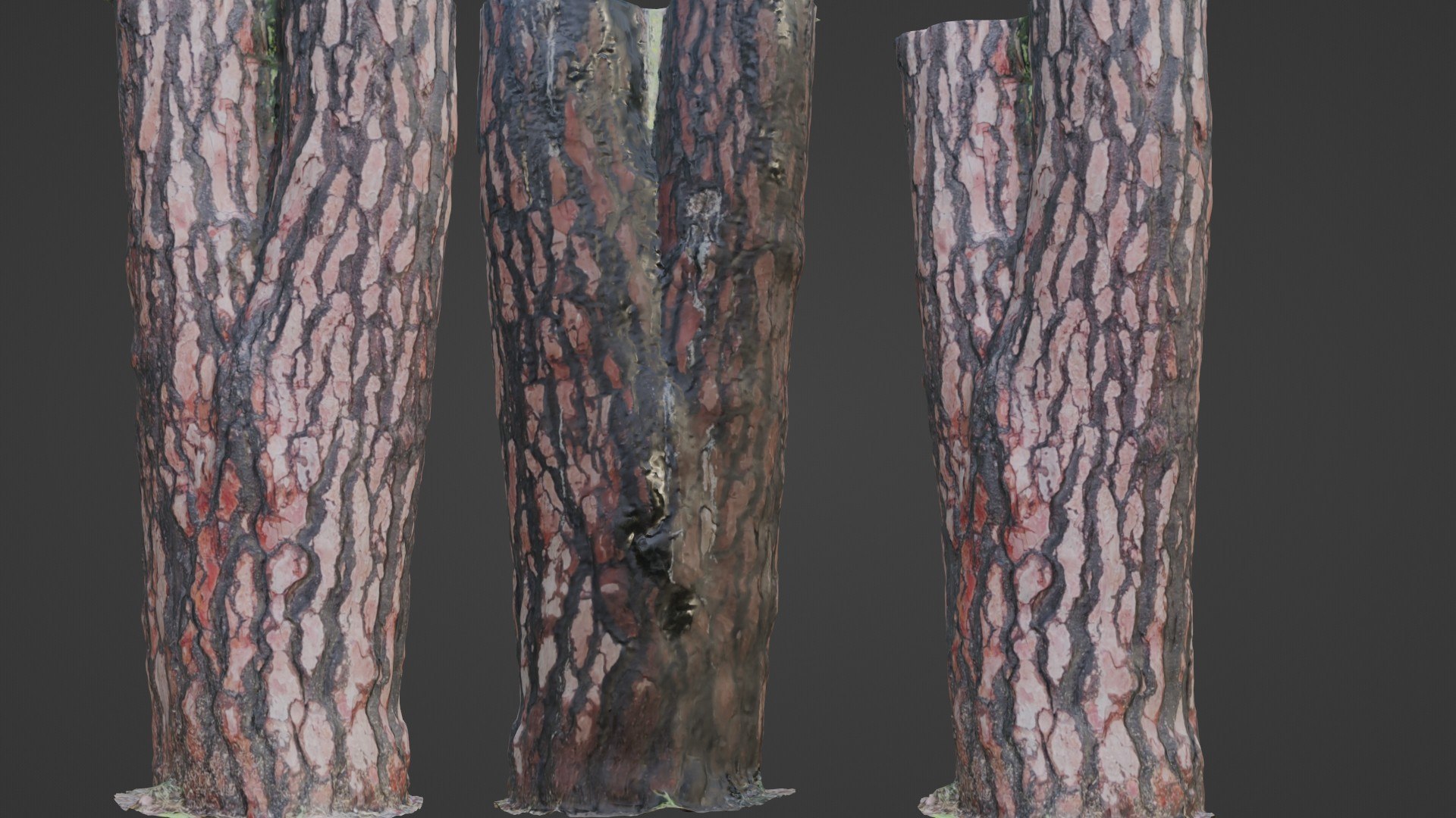 3D Tree Bark - TurboSquid 2329662