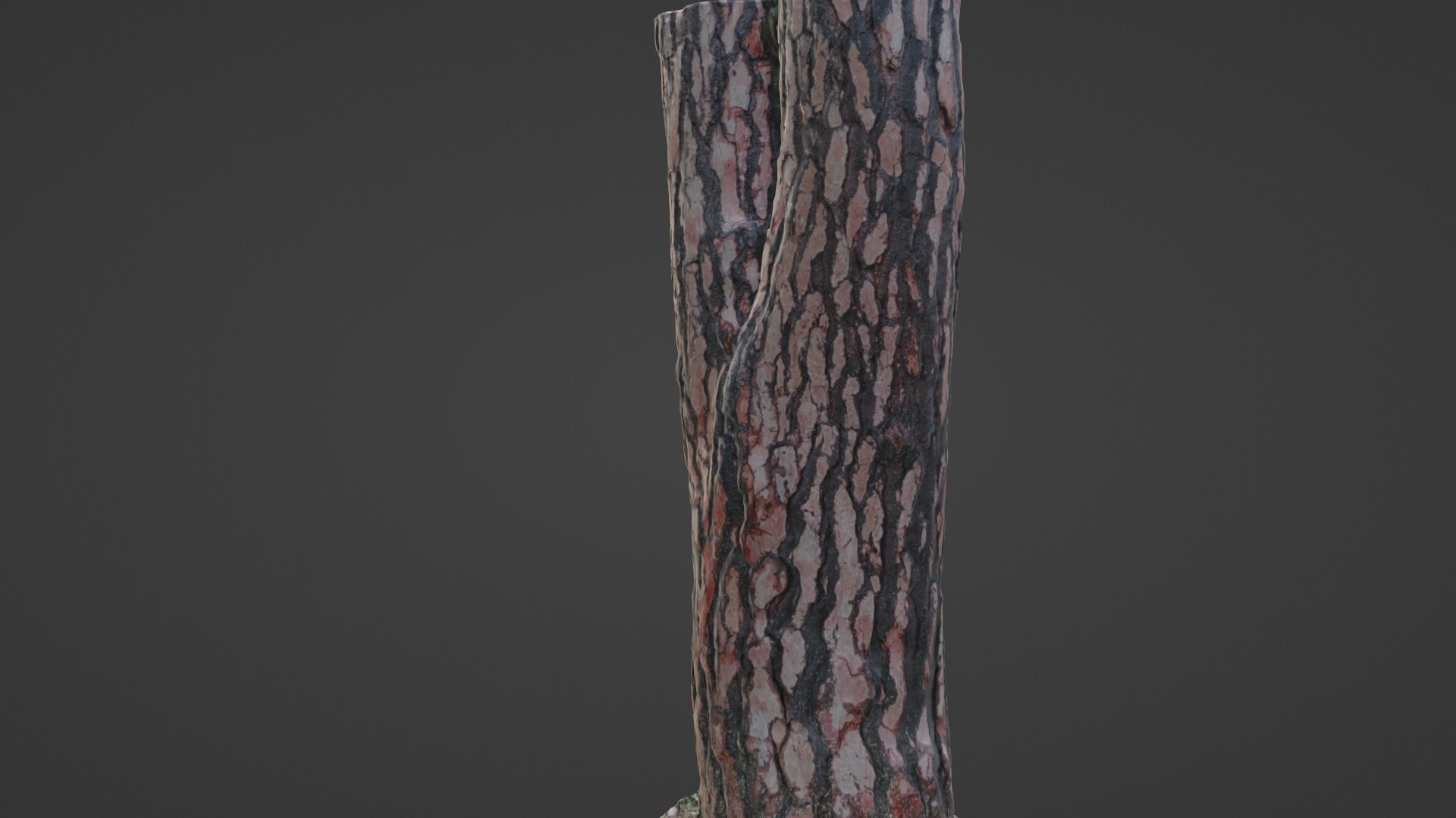 3D Tree Bark - TurboSquid 2329662
