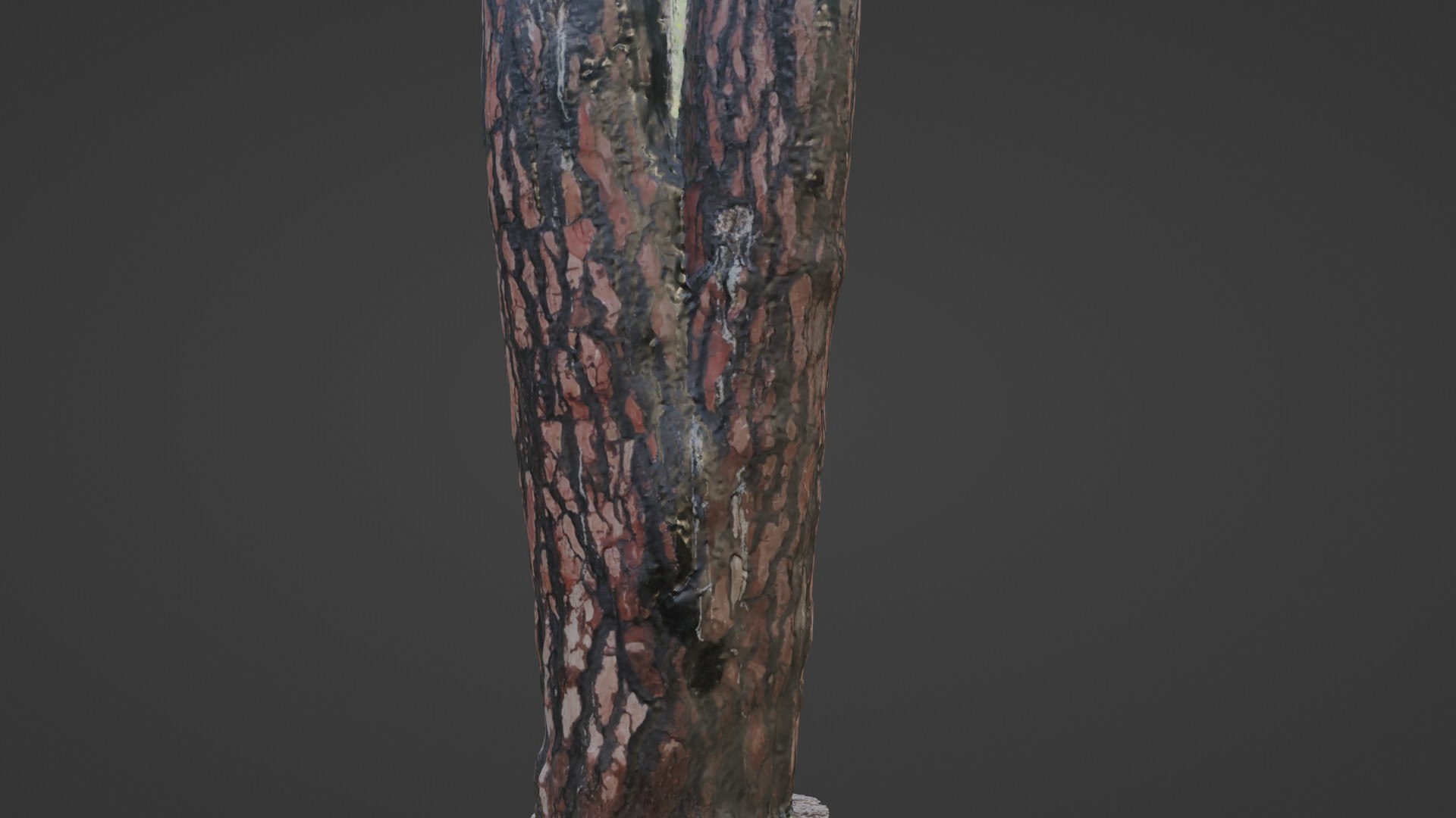 3D Tree Bark - TurboSquid 2329662