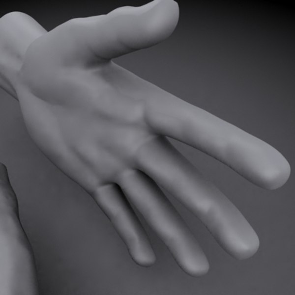 3d model male hand