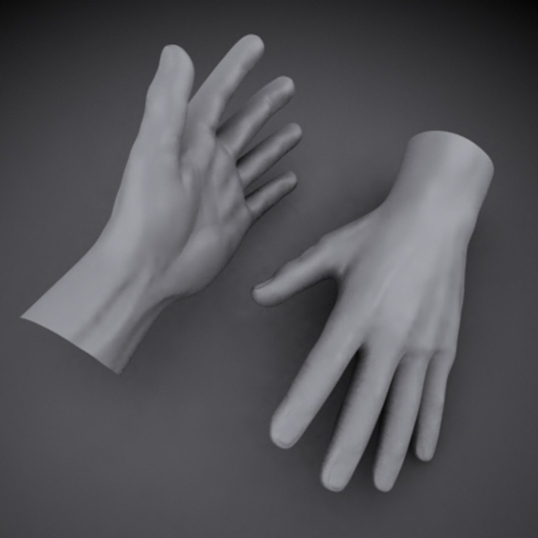 3d model male hand