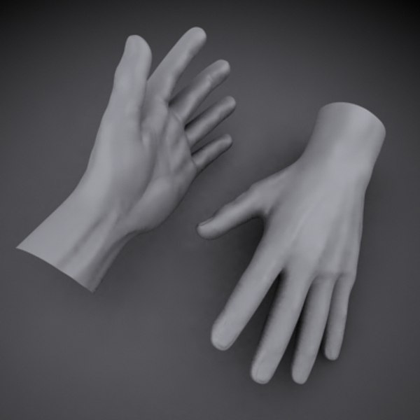 3d model male hand