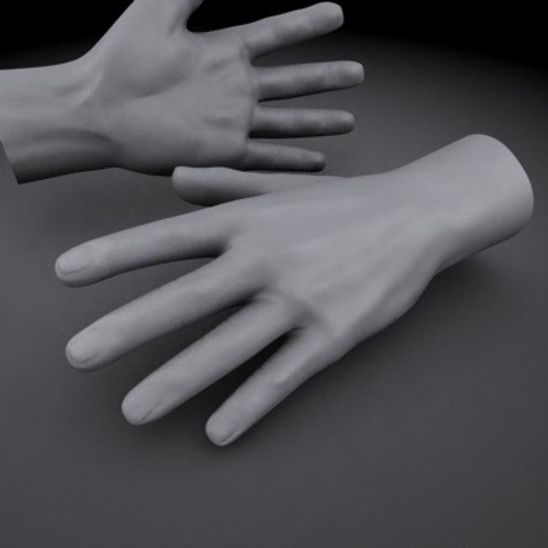 3d model male hand