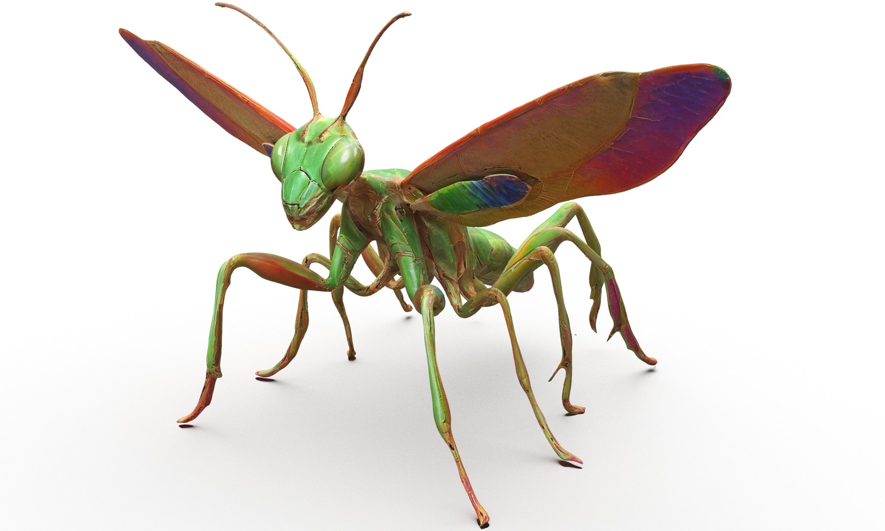 Insects Pack 3D Model - TurboSquid 2316098