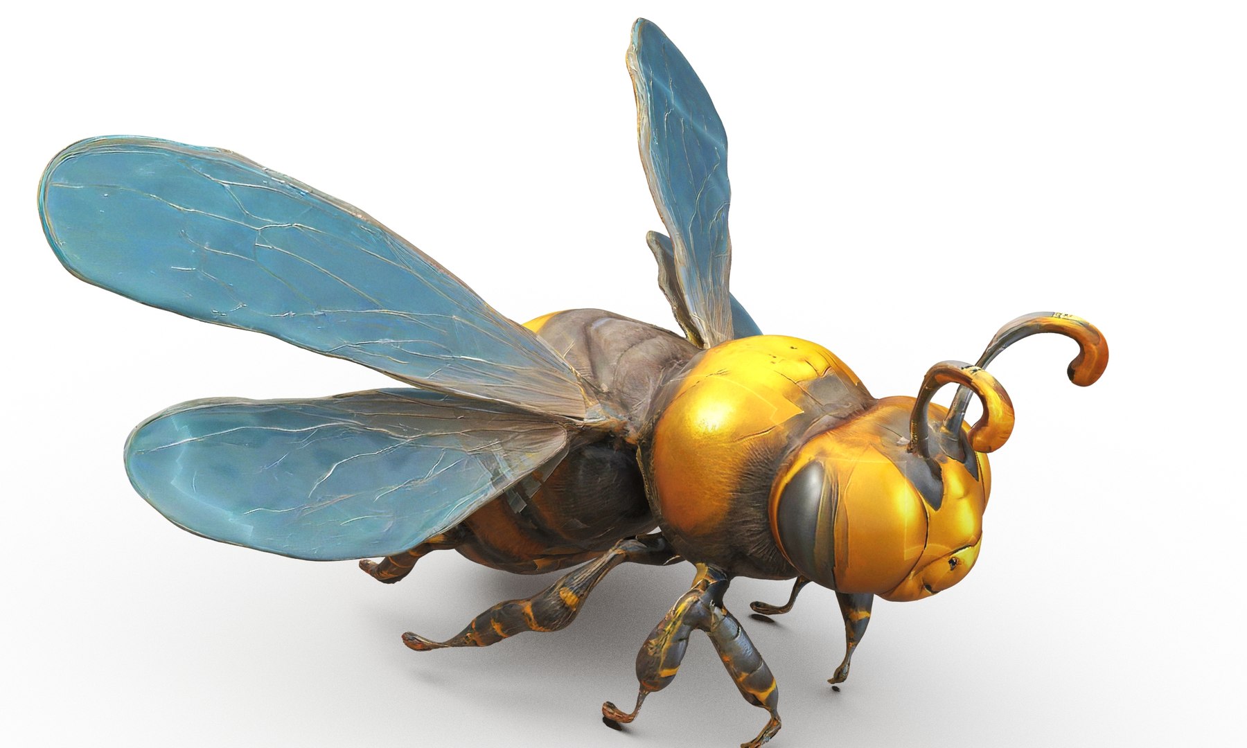Insects Pack 3D Model - TurboSquid 2316098
