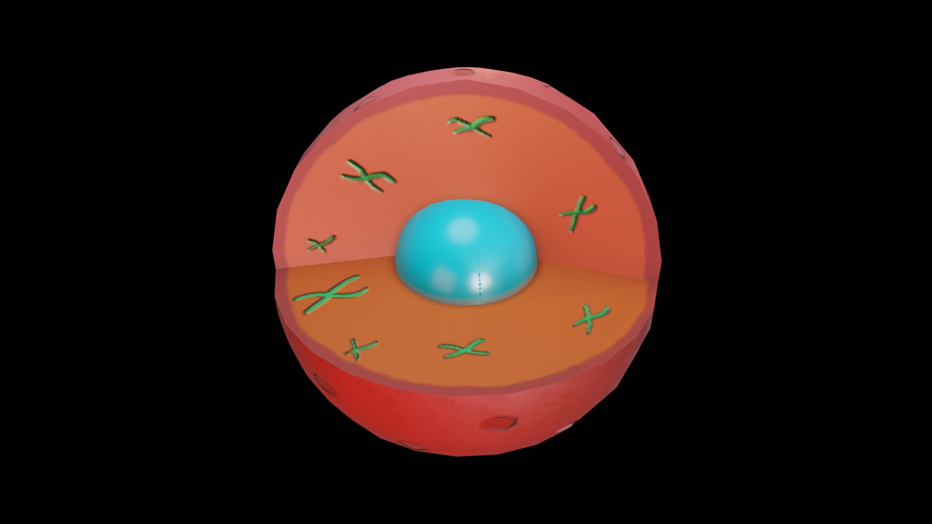 3D model CELL NUCLEUS Low-poly 3D model - TurboSquid 2129366