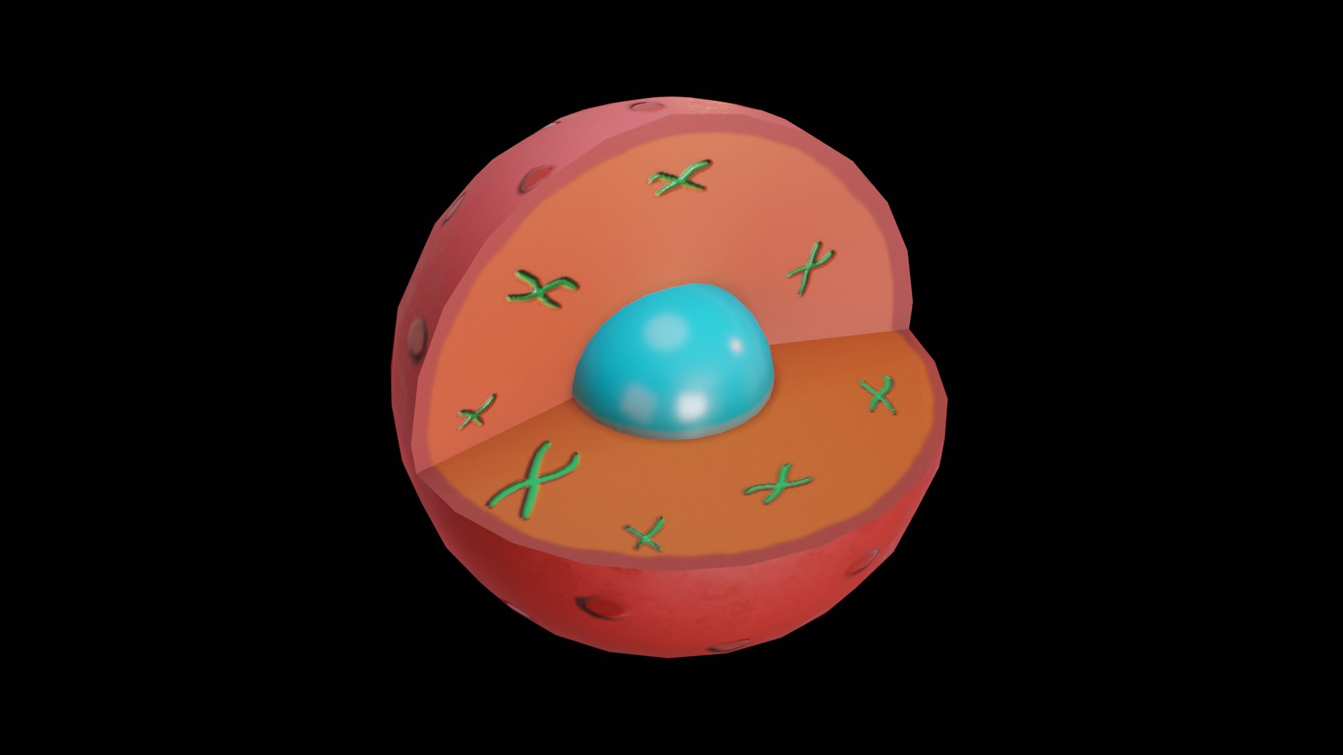 3D model CELL NUCLEUS Low-poly 3D model - TurboSquid 2129366