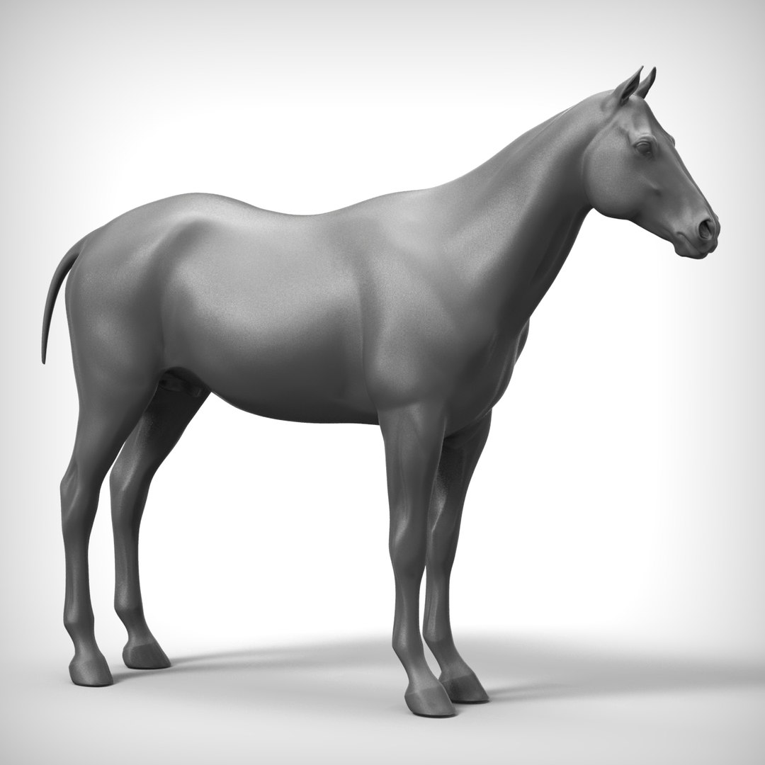 Horse Base 3D Model - TurboSquid 1177578