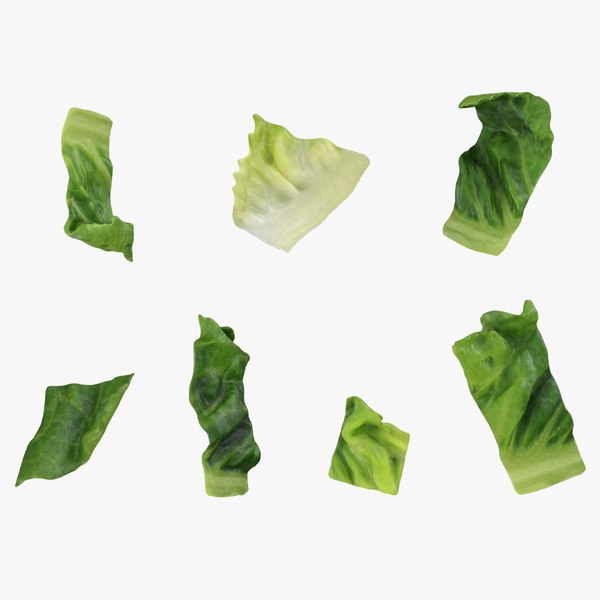 modelo 3d Lechuga picada - TurboSquid 2398979