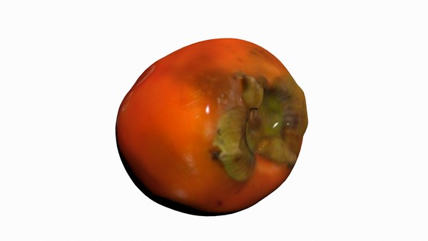 Kaki details scan 3D - TurboSquid 1702734