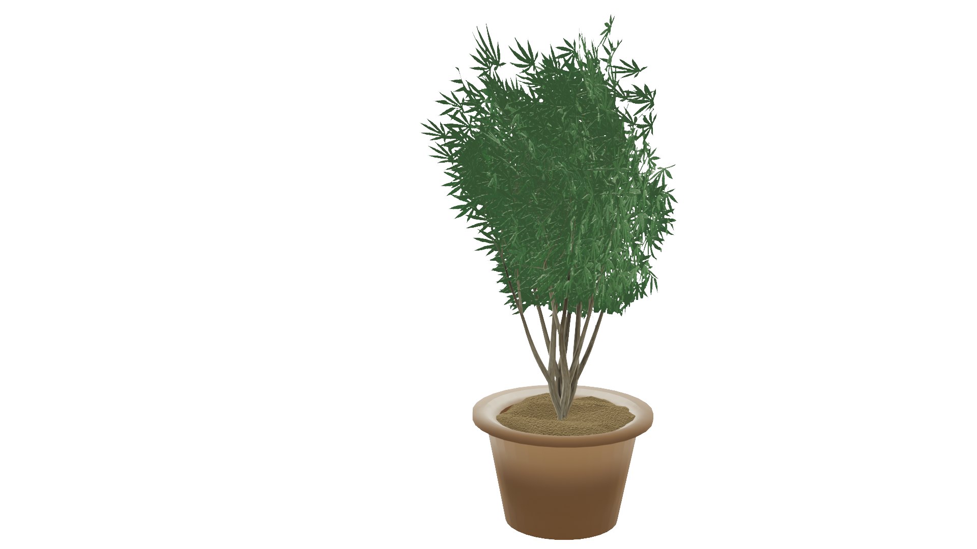 3D MARIJUANA PLANT - TurboSquid 1888718