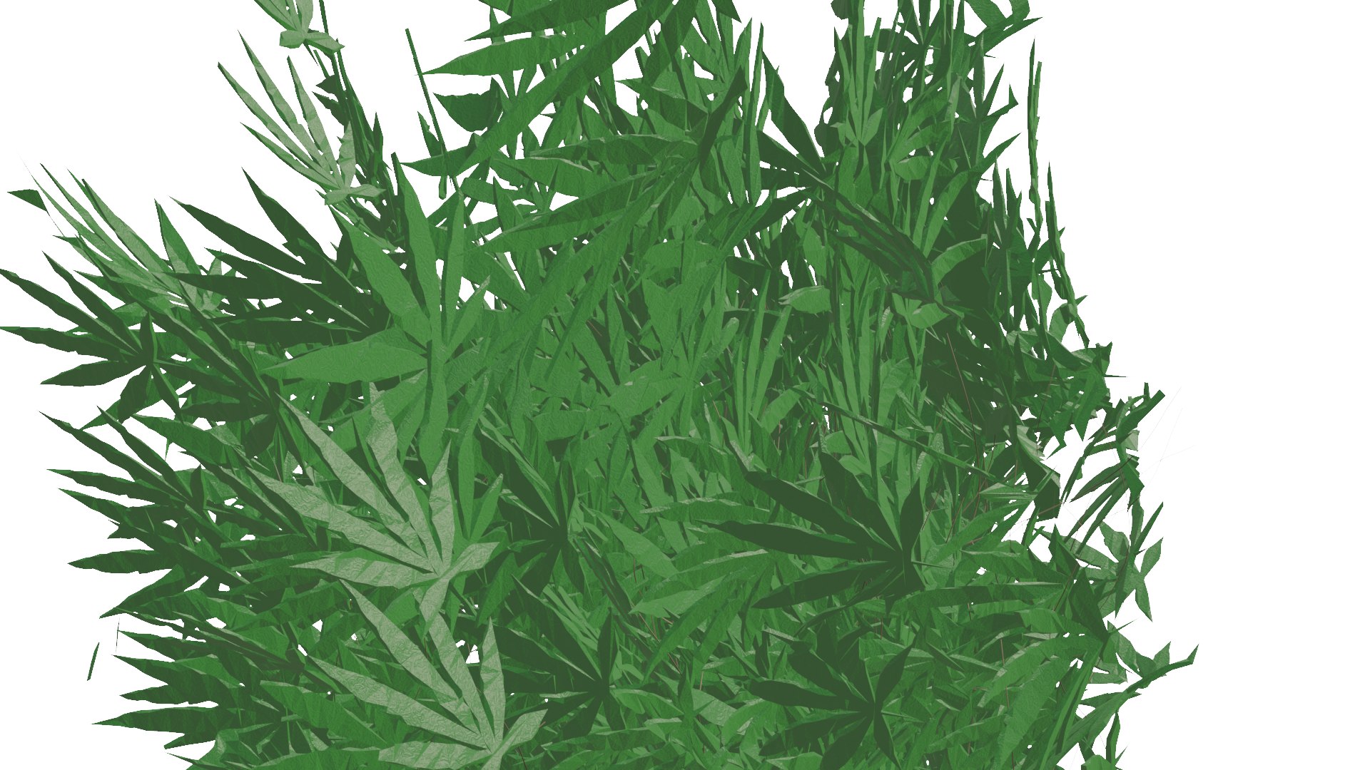 3D MARIJUANA PLANT - TurboSquid 1888718