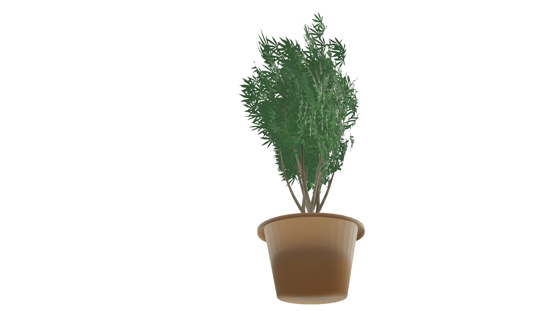 3D MARIJUANA PLANT - TurboSquid 1888718