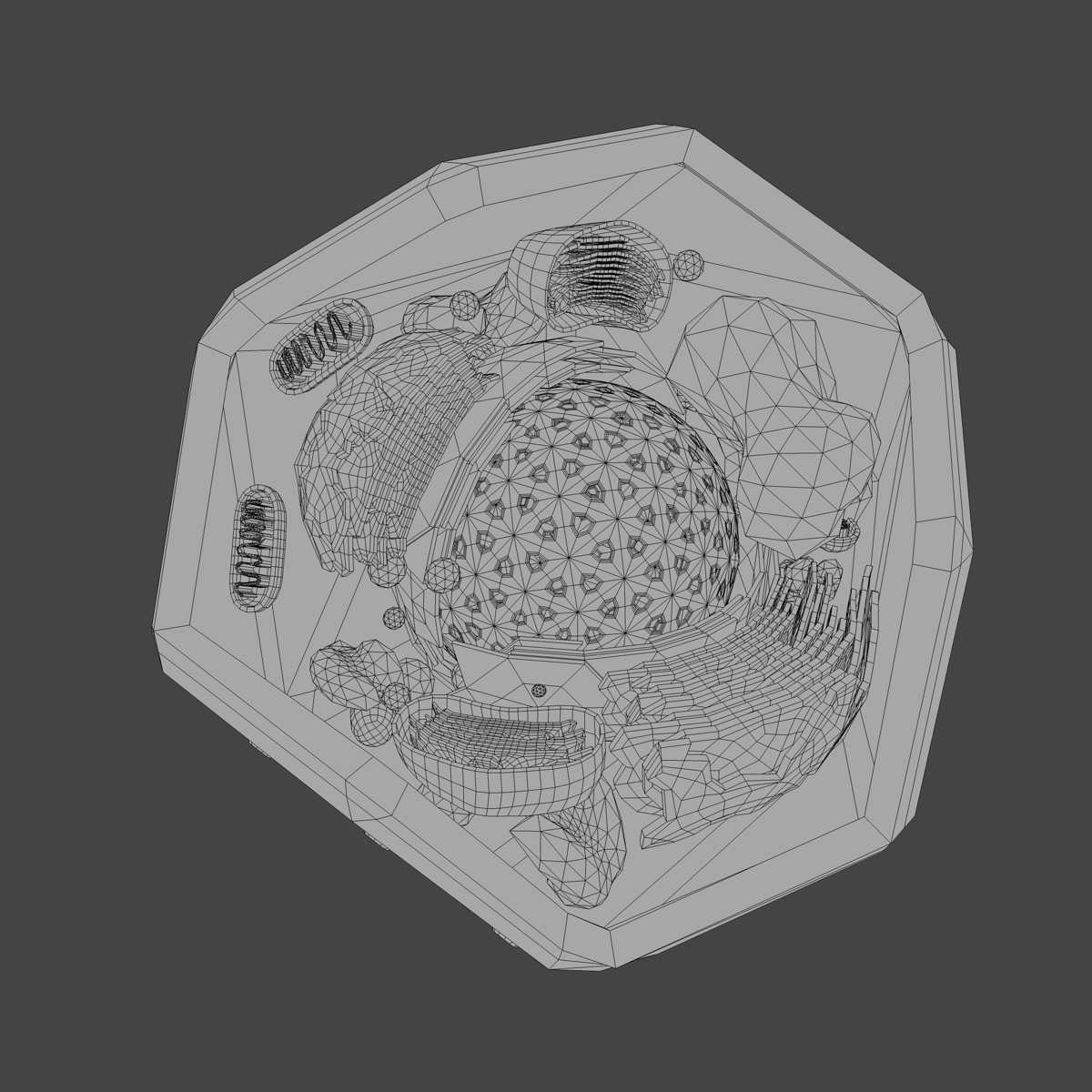 3d vegetal cell model