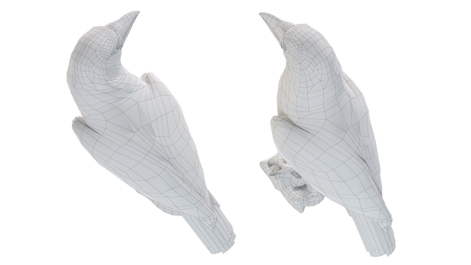 3D Crow - TurboSquid 1783333