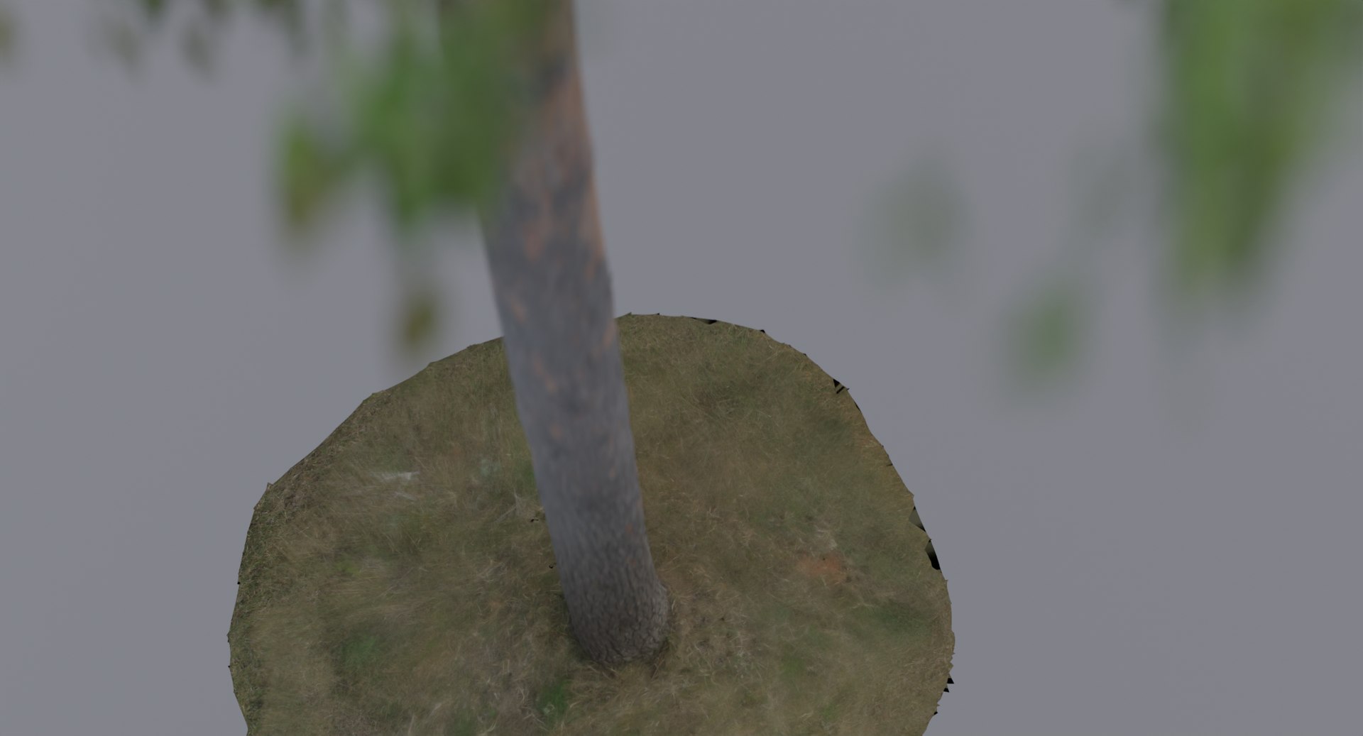 Tall Tree 3D Model - TurboSquid 2093623
