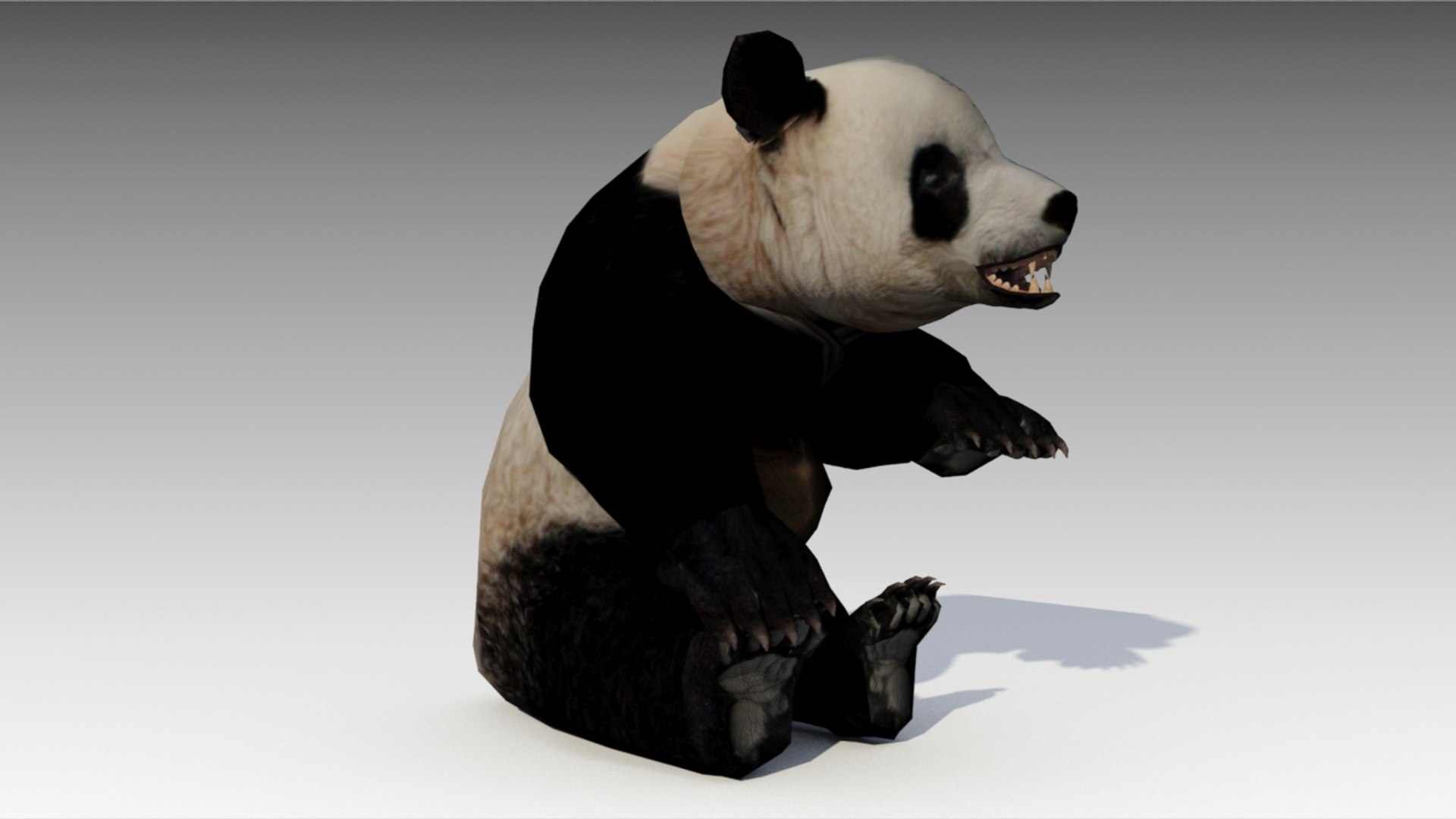 3d Model Giant Panda Animations