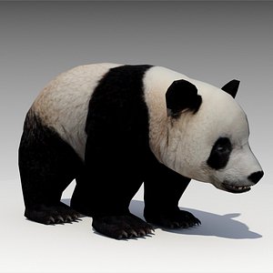 Panda Bear 3D Models for Download | TurboSquid