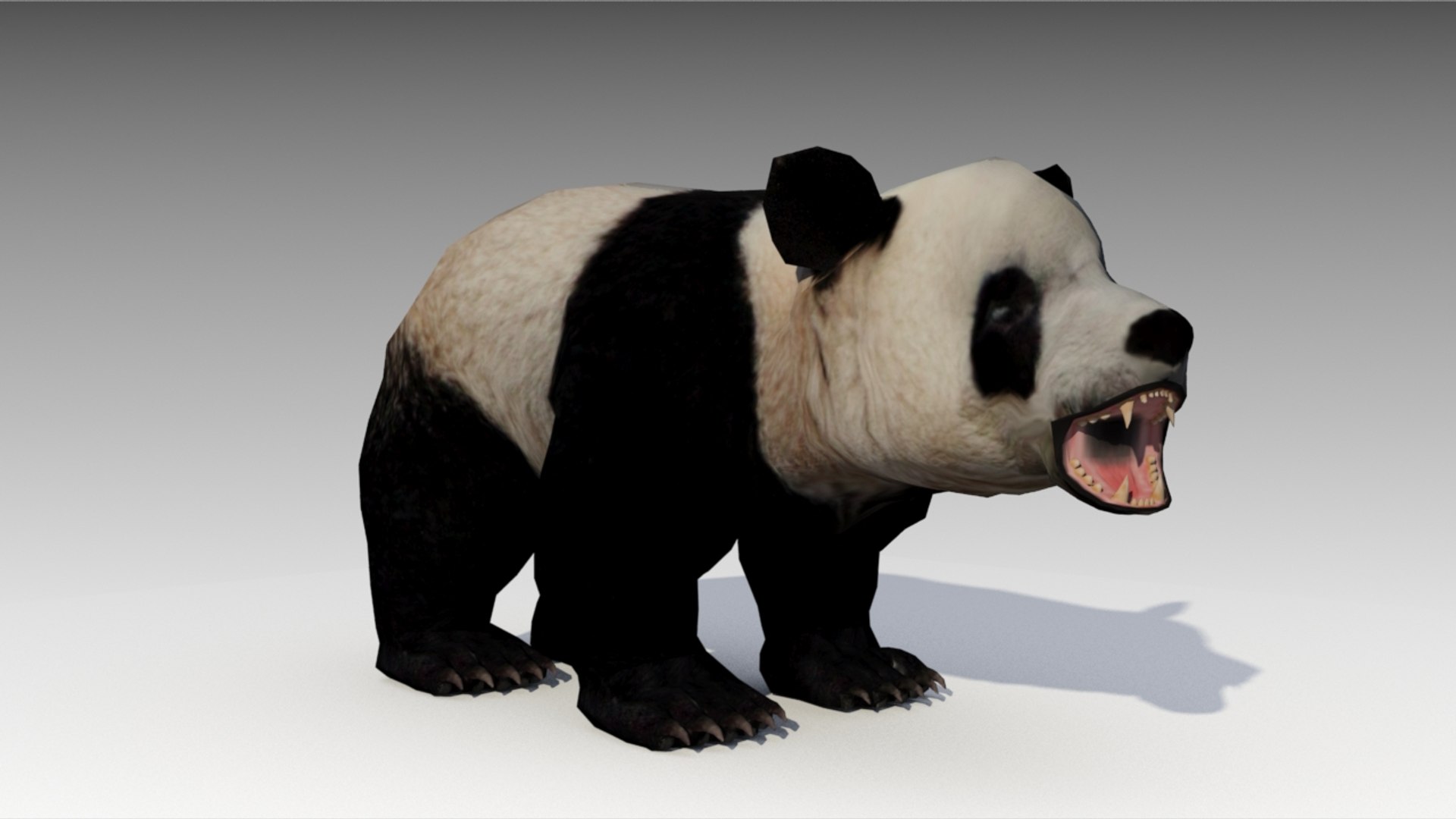 3d Model Giant Panda Animations