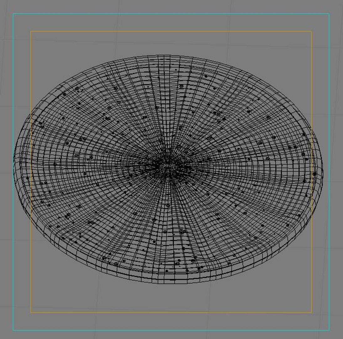 diatom 3d model
