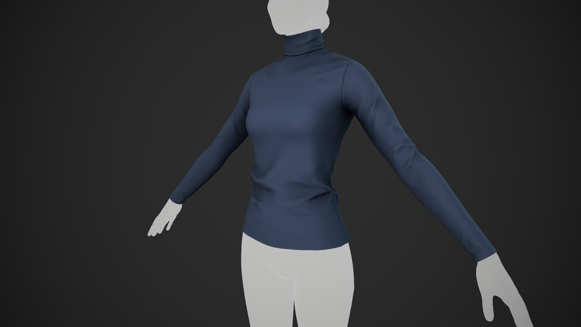 Blue Turtle Neck Pull Top 3D Model - TurboSquid 2176064