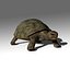 3dsmax Hermanni Turtle 1