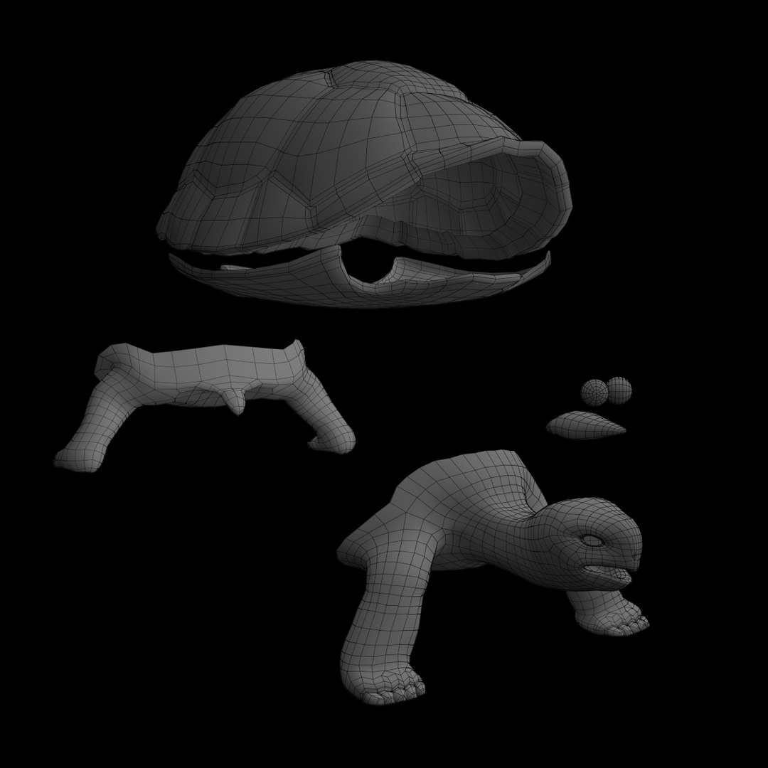 3dsmax Hermanni Turtle 1