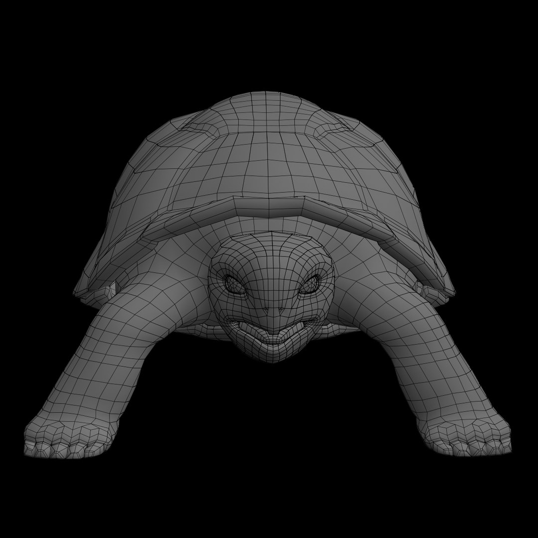 3dsmax Hermanni Turtle 1