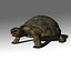 3dsmax Hermanni Turtle 1