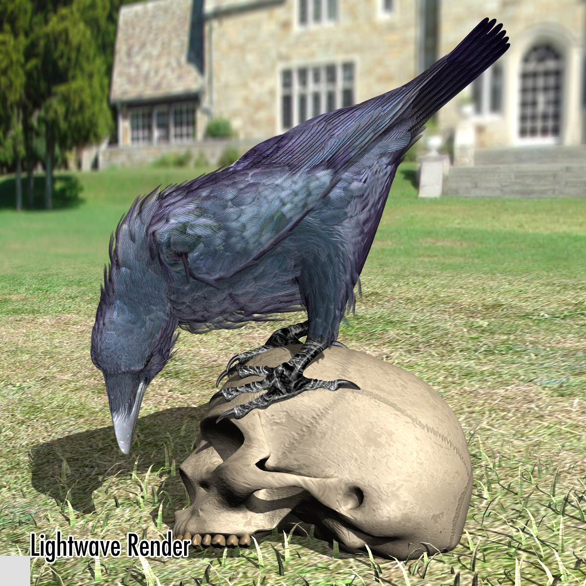 3d common raven