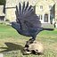 3d Common Raven