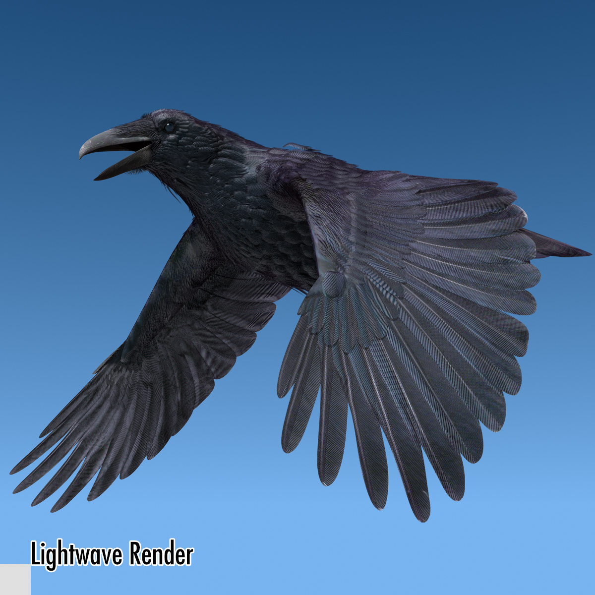 3d common raven
