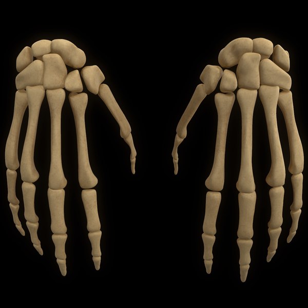 Complete hand skeletal model - TurboSquid 1383781