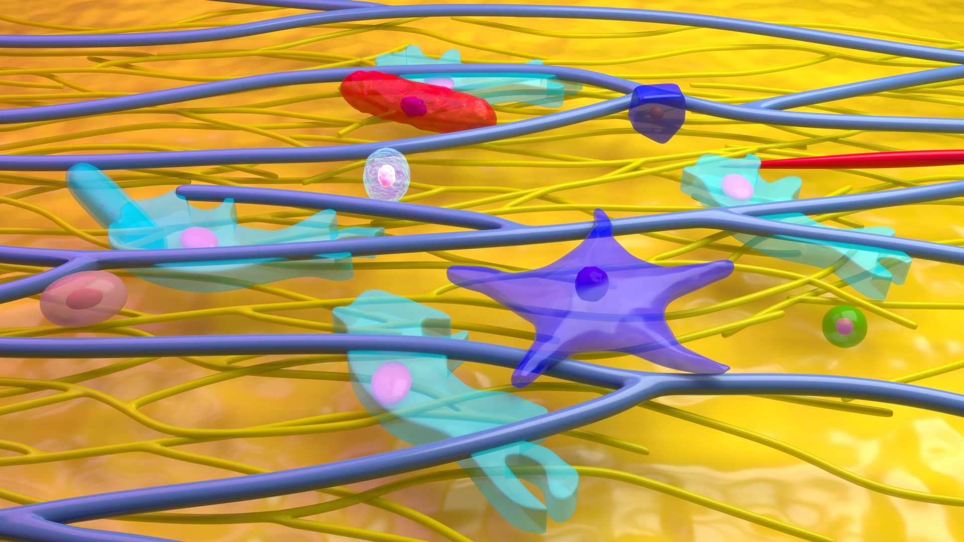 Yellow Elastic Connective Tissue 3D Model - TurboSquid 2308661