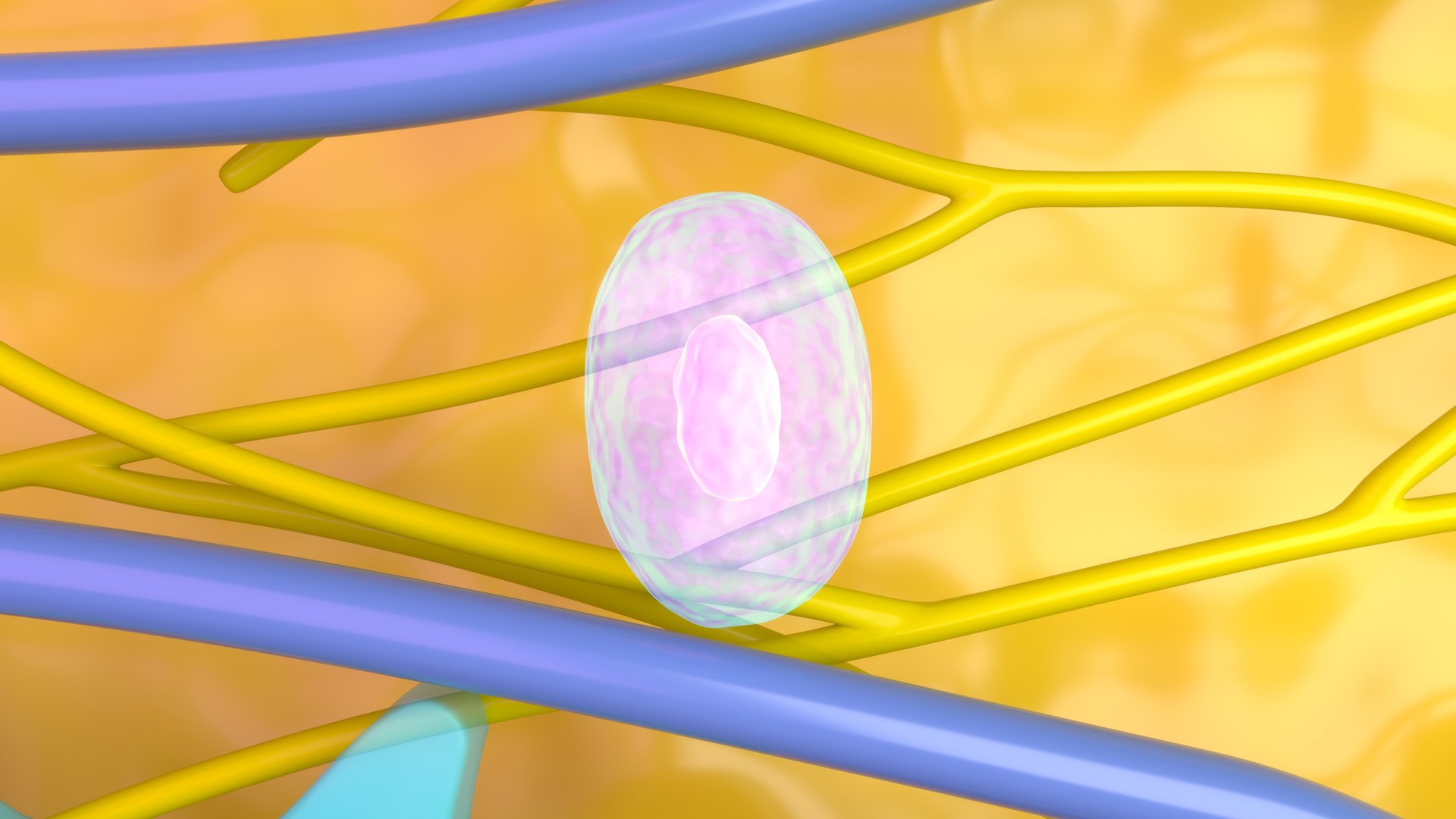Yellow Elastic Connective Tissue 3D Model - TurboSquid 2308661