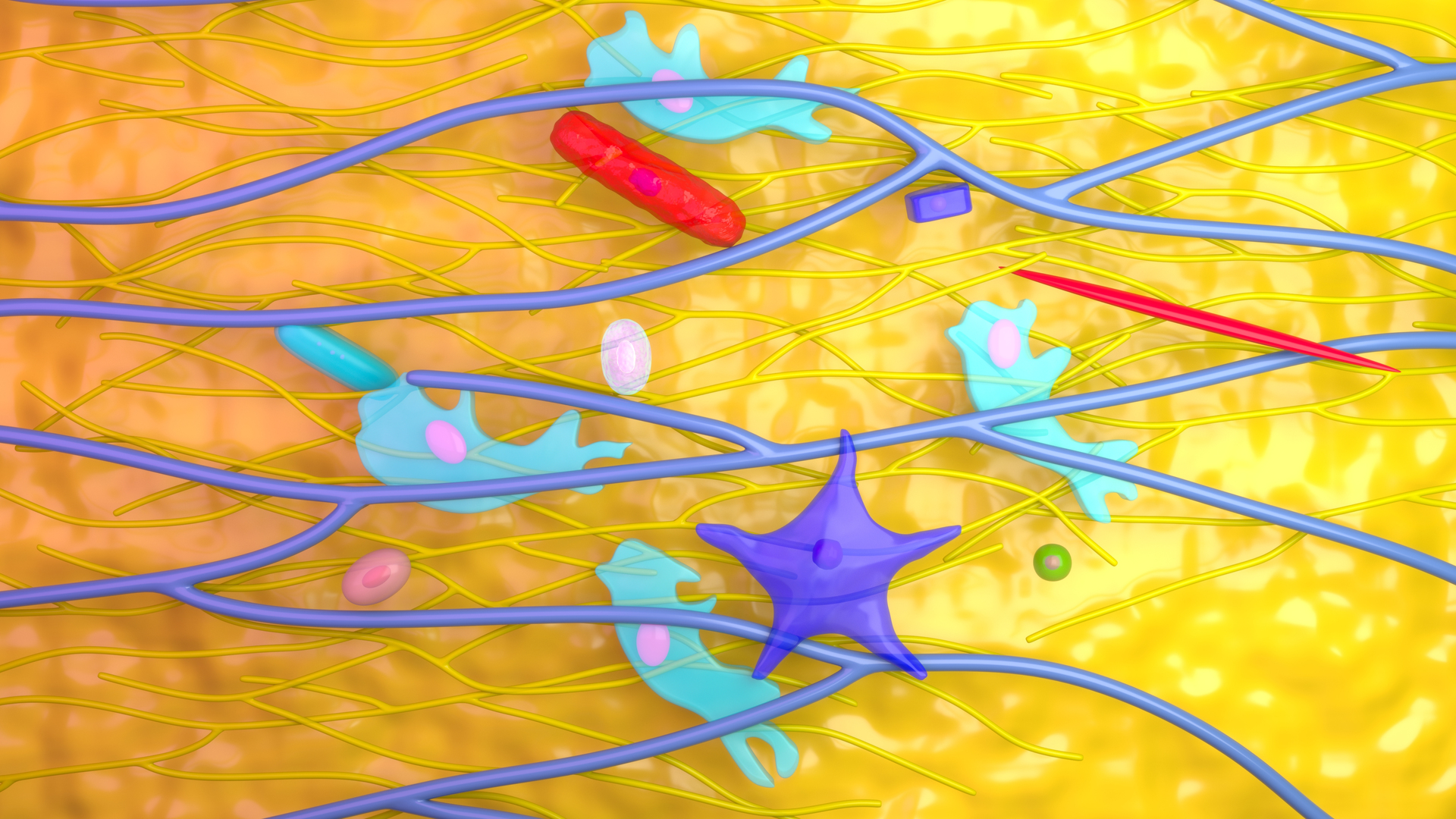 Yellow Elastic Connective Tissue 3D Model - TurboSquid 2308661