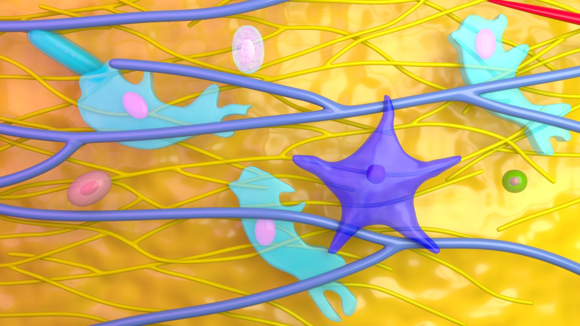 Yellow Elastic Connective Tissue 3D Model - TurboSquid 2308661