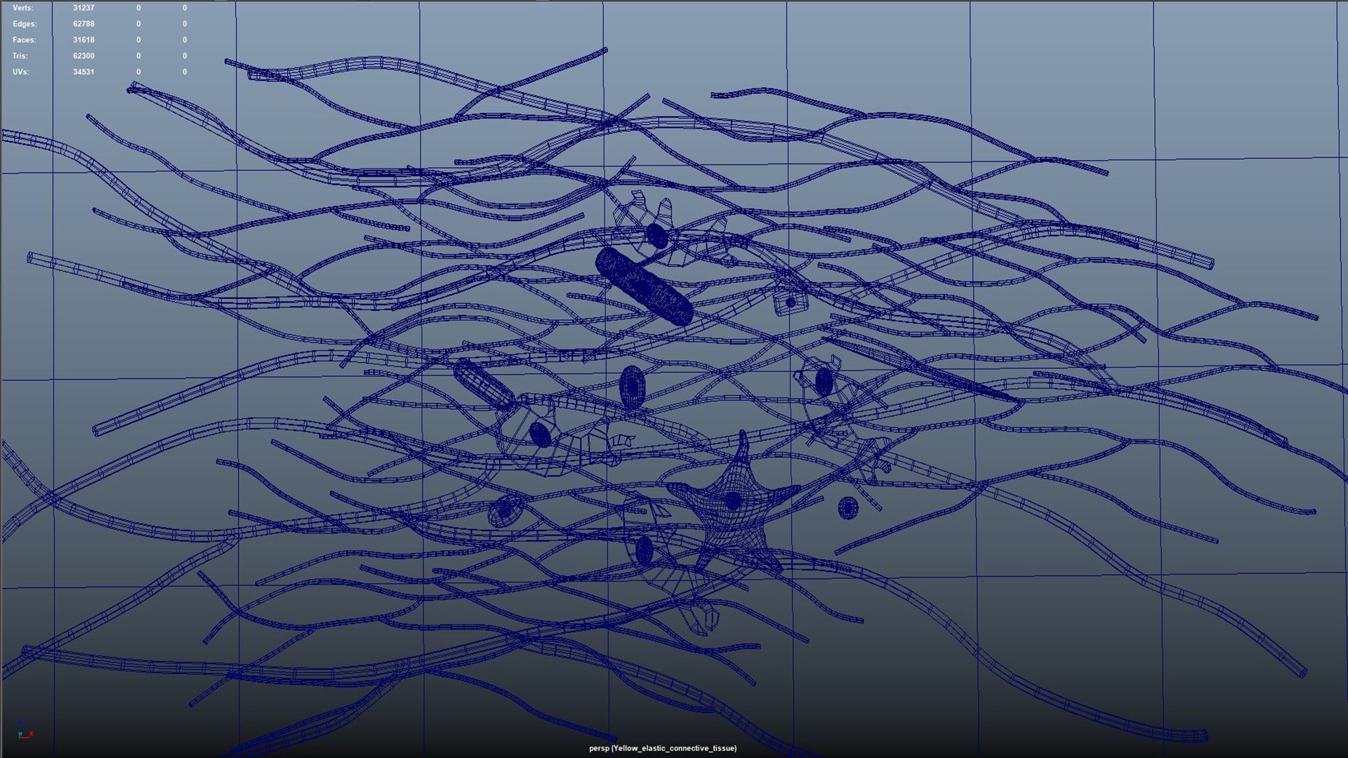 Yellow Elastic Connective Tissue 3D Model - TurboSquid 2308661