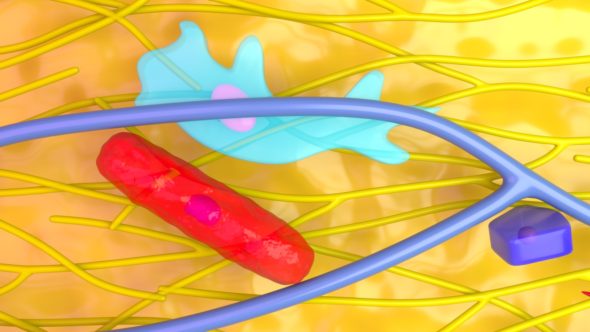 Yellow Elastic Connective Tissue 3D Model - TurboSquid 2308661