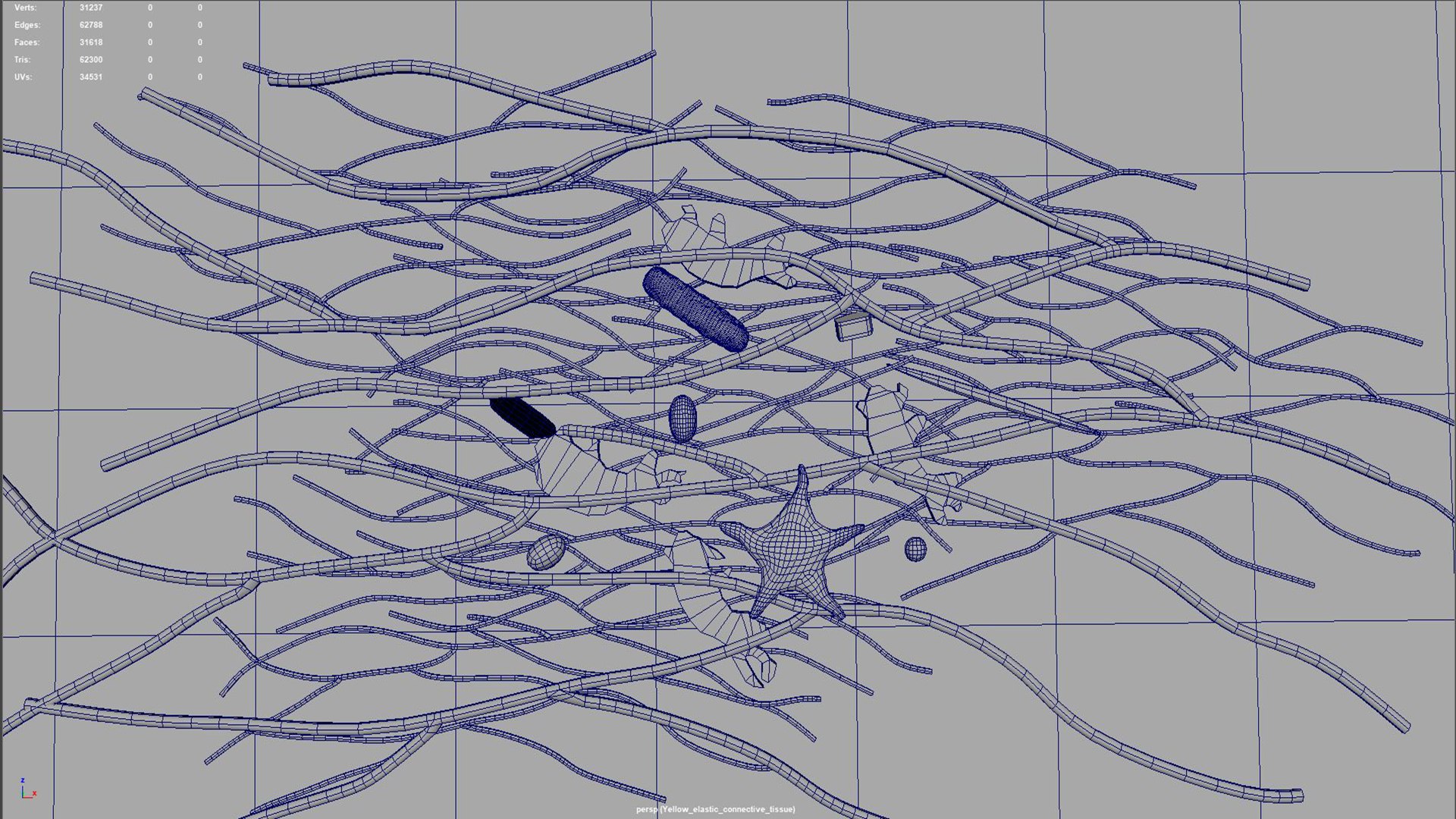 Yellow Elastic Connective Tissue 3D Model - TurboSquid 2308661