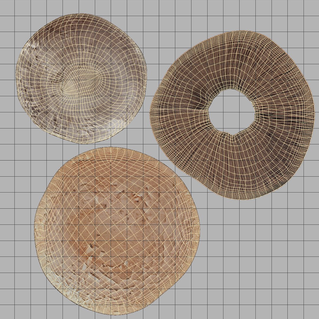 3D Lightwave Mushroom Model - TurboSquid 1286773