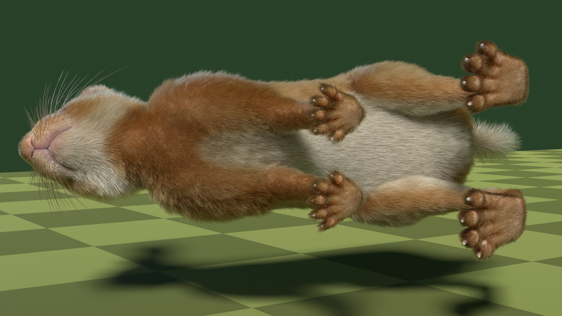 3D Model Japanese Hare - TurboSquid 2110061