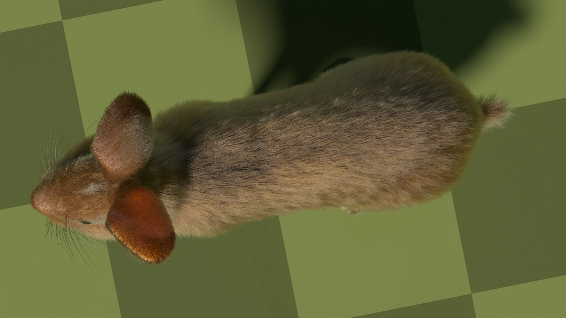 3D Model Japanese Hare - TurboSquid 2110061